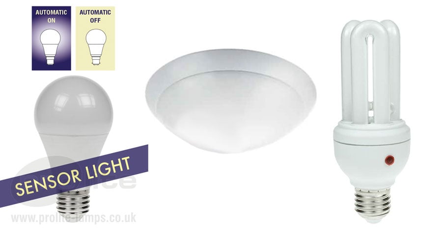 LED Lamps | Prolite Lamps